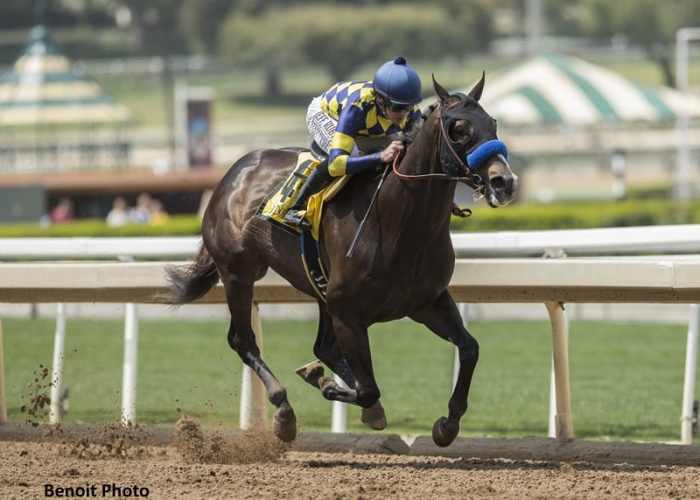 Dr. Dorr An Easy Winner In Californian - Paulick Report | Shining Light ...