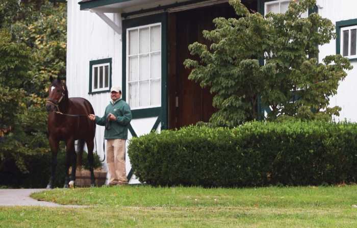 Making Claims: The 2022 Regional Stallion Expansion Draft - Paulick ...