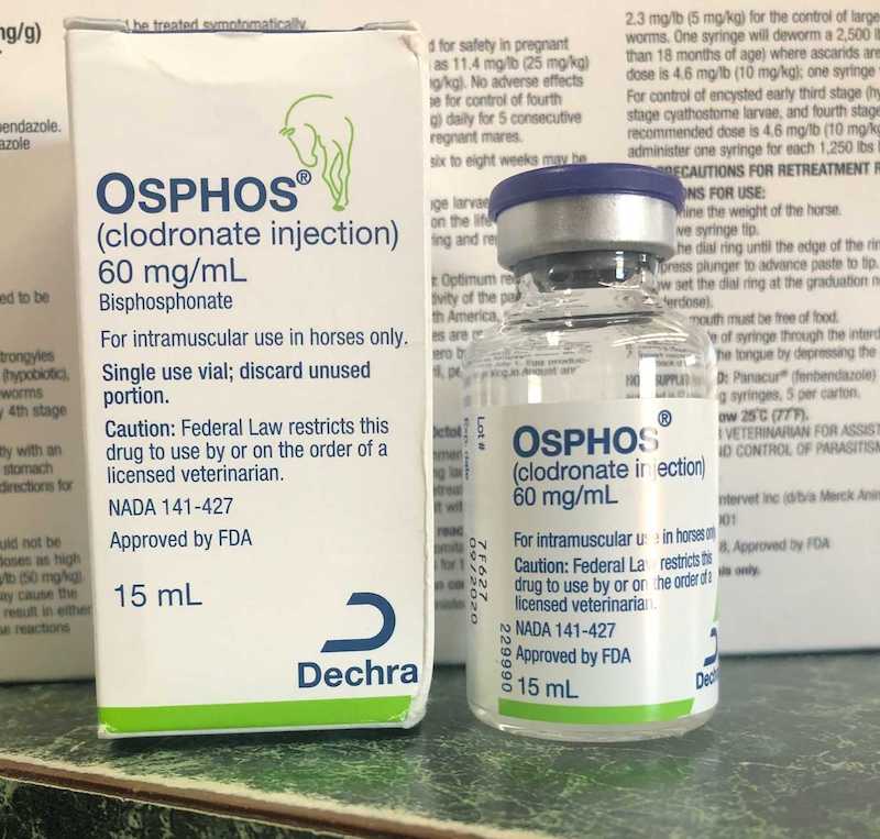 Research Confirms Bisphosphonates Can Linger In Horses' Bones For Years ...