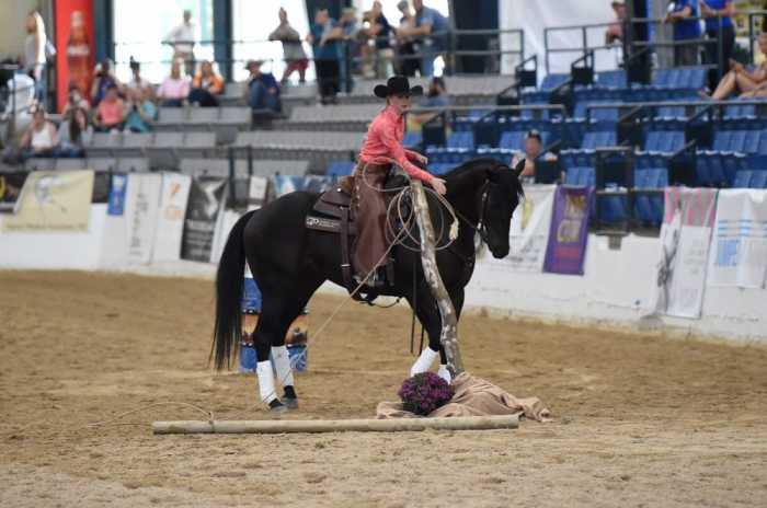 Cosequin Presents Aftercare Spotlight: Ozzie Is Stepping Out And ...