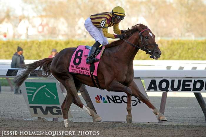 Irish War Cry Retired To Northview Stallion Station In Maryland ...