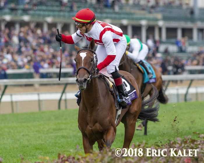 Extra, Extra: Newspaperofrecord (IRE) Gives Brown Fourth Juvenile ...