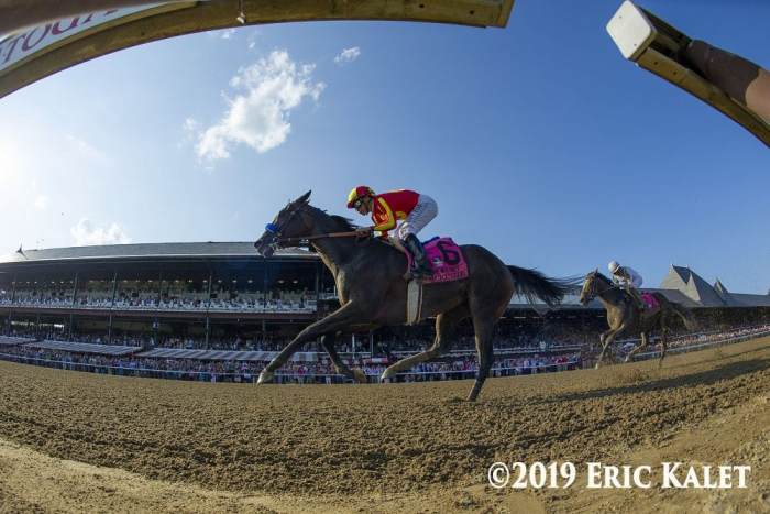 McKinzie, Code Of Honor Retain Tops Spots In Breeders' Cup Classic ...