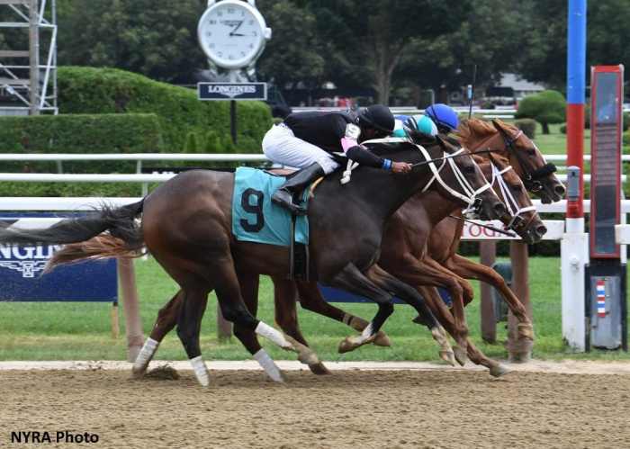 Juvenile Filly Wicked Title Showed 'Grit' To Earn Spot In Miss Grillo ...