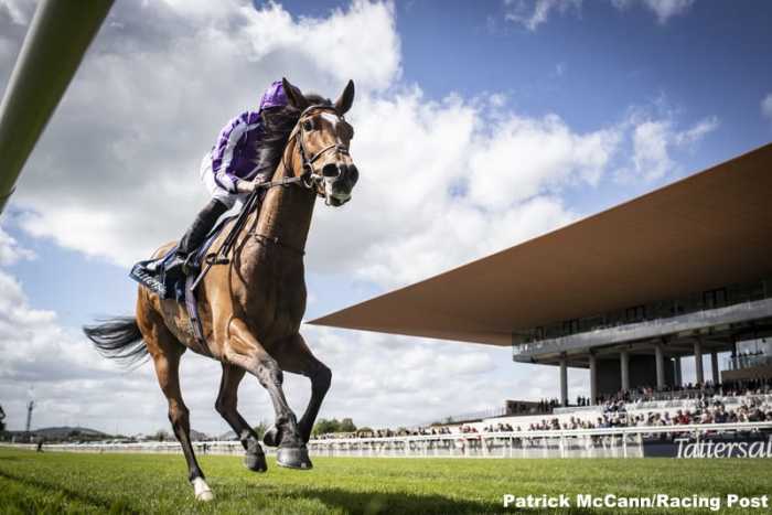 Bloodlines: Magical, Hermosa Produce 'Pivotal' Victories In Ireland ...
