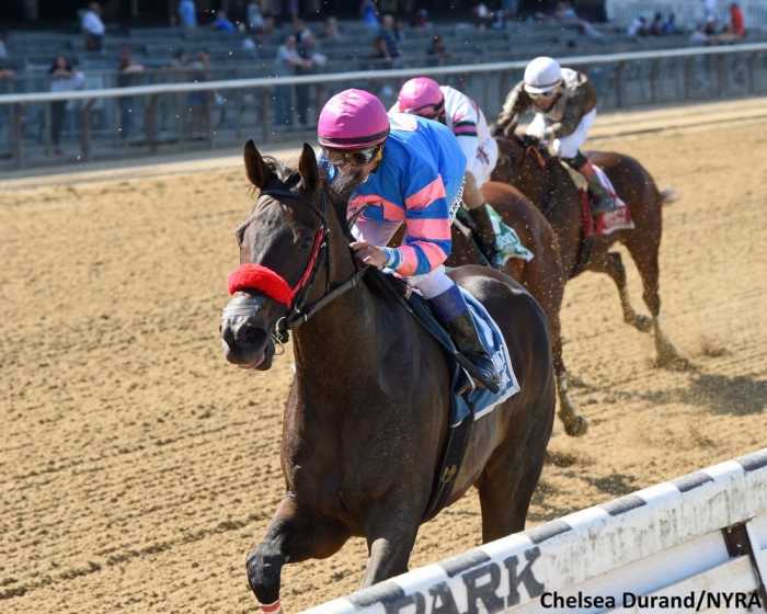 Come Dancing 'Nice And Easy' In Gallant Bloom Victory - Paulick Report ...