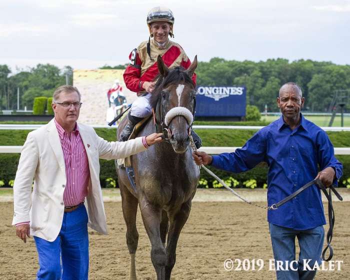 Preservationist Retired To Airdrie Stud For 2020 Breeding Season ...