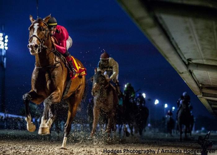 War Of Will Jumps To Second In NTRA Top 3-Year-Old Poll - Paulick ...