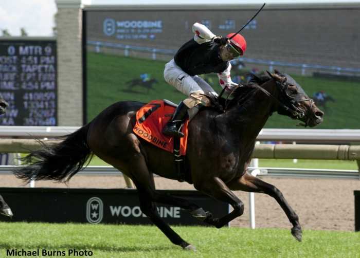 Wet Your Whistle Circles Highlander Field For Fourth Straight Victory ...