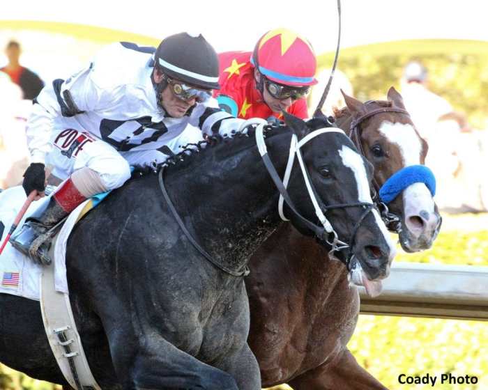 Improbable Draws The Rail, Made Arkansas Derby Favorite - Paulick ...