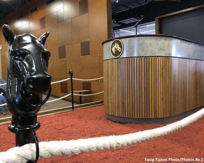 Honor Code Colt Tops Fasig-Tipton Midlantic Fall Yearlings Sale ...