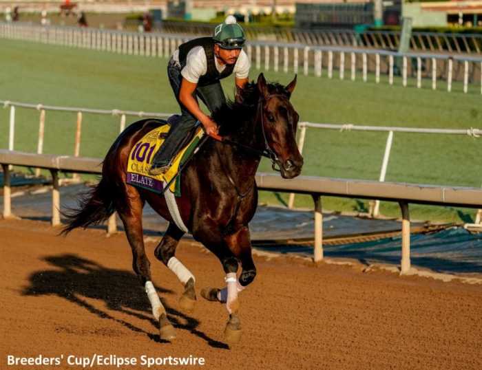 Mott: 'Top-Class' Elate Fits In Classic, Yoshida Should Be 'In The Mix ...