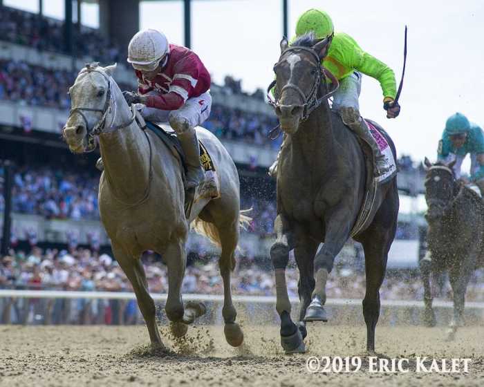 Hog Creek Hustle Leads Parade Of Longshots In Woody Stephens - Paulick ...