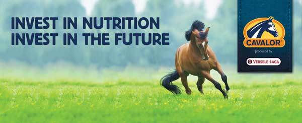 Cavalor North America Launches New Improved Line Of Cavalor Care ...