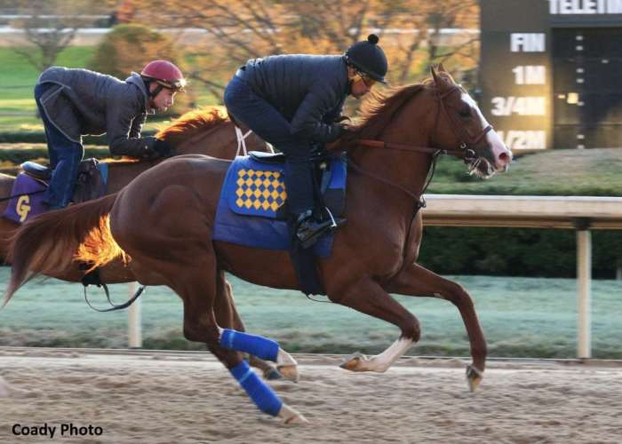 Rider Changes: Jose Ortiz Picks Up Improbable, Instagrand To Be Piloted ...