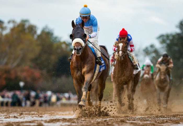 Tom's D'Etat Takes On Seeking The Soul, Owendale In Friday's Clark ...