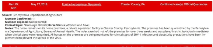 The Pennsylvania EHV Outbreak That Wasn’t - Paulick Report | Latest ...