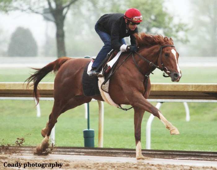Code Of Honor Has Final Keeneland Breeze Before Shipping To Louisville ...