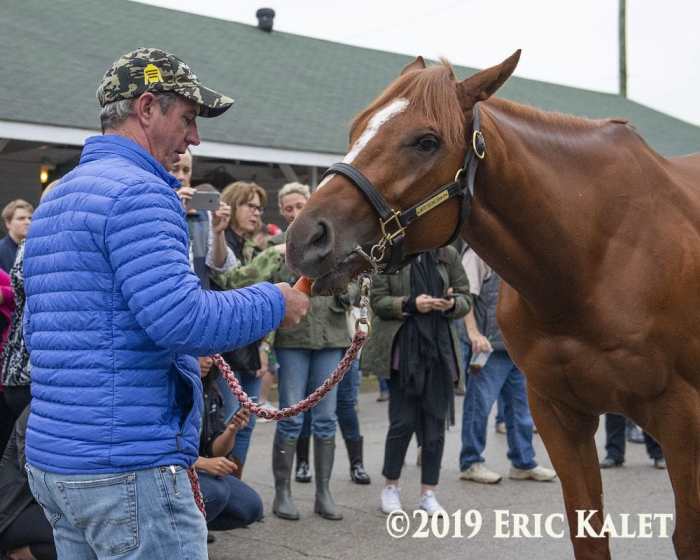 Report: Kentucky Derby Winner Country House Out Of Preakness Due To ...