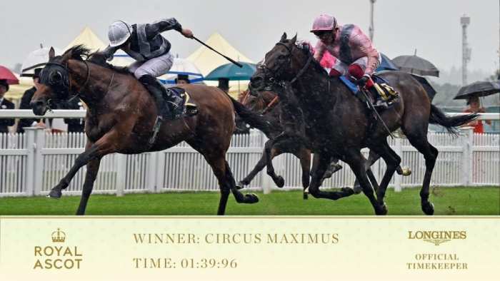 Circus Maximus, Terebellum To Vie For Breeders' Cup Berth In Tuesday's ...