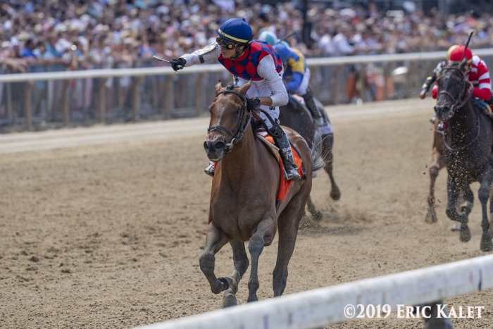 Guarana Speeds Away To Stay Undefeated In Acorn - Paulick Report ...