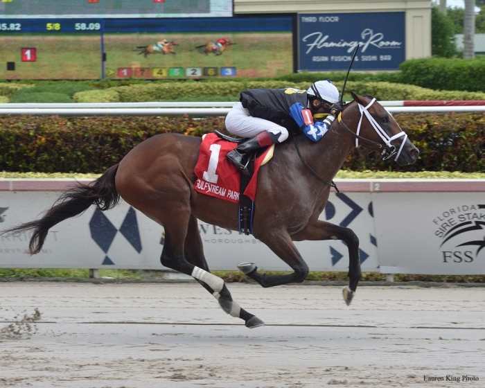 Chance It To Be Piloted By Tyler Gaffalione In Florida Sire Stakes' In ...
