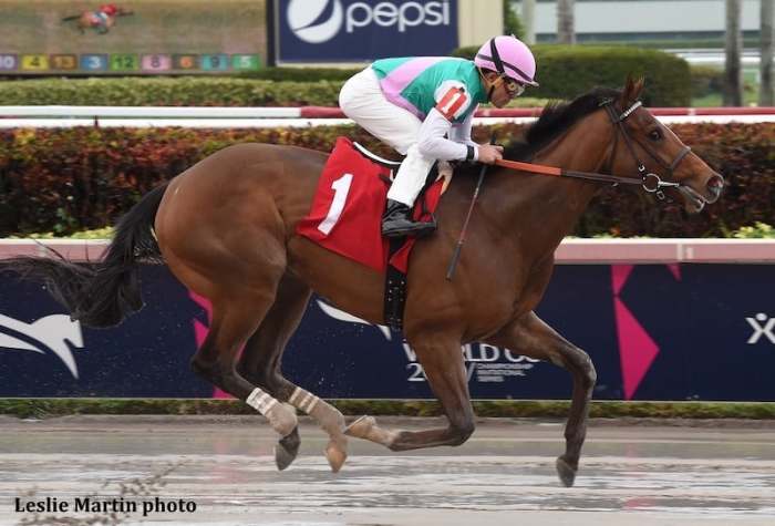 Mott: Hidden Scroll 'Seems Bright' After Loss, Country House Headed For ...