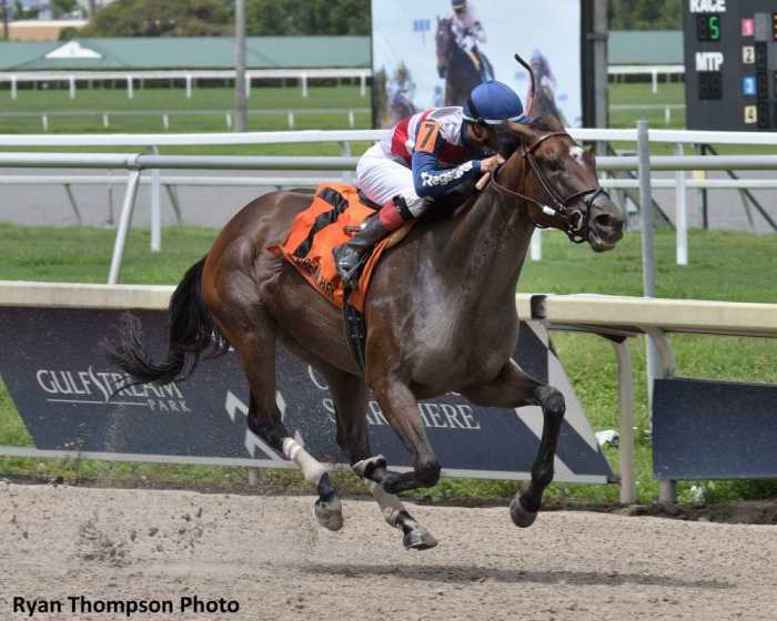 Supercommittee Dominates Ginger Punch Under Victor Lebron - Paulick ...