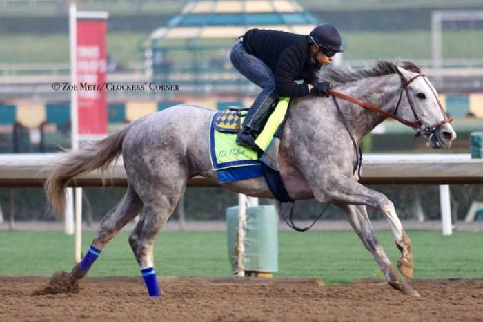 Derby Prospect Coliseum: Baffert Using San Vicente 'To Teach Him To ...