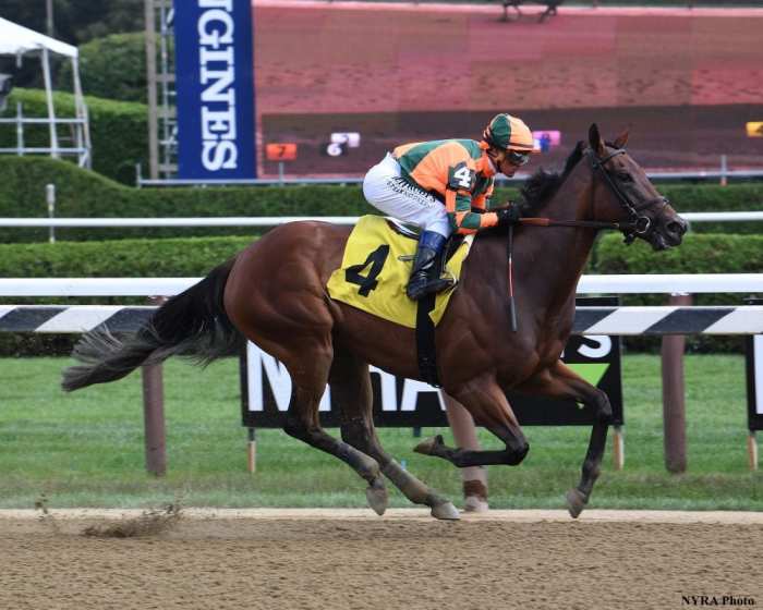 Indian Pride Trying To Make The Leap From Maiden Winner To Grade 2 ...