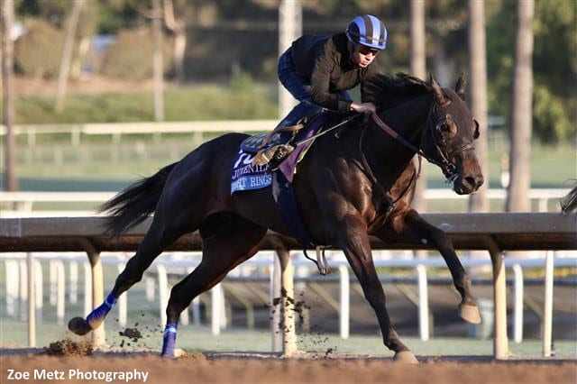 Eight Rings 'Very Good' In Final Work For Breeders' Cup Juvenile ...