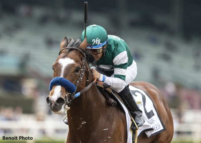 Cistron Retired To Harris Farms In California - Paulick Report | Latest ...