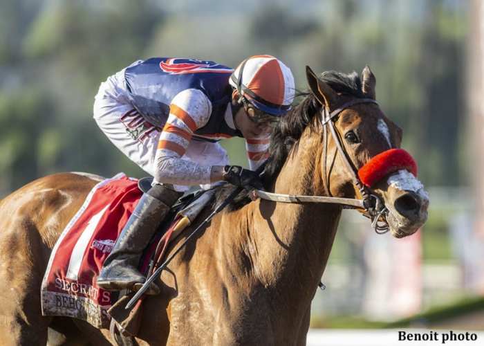 Patience A Virtue For Connections Of Beholder Mile Winner Secret Spice ...