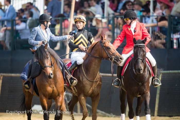 First-Crop Sire Watch Presented By Buckland Sales: 2024 Fasig-Tipton ...