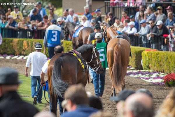 Del Mar To Unveil New Infield LED Board At Upcoming Meet - Paulick ...