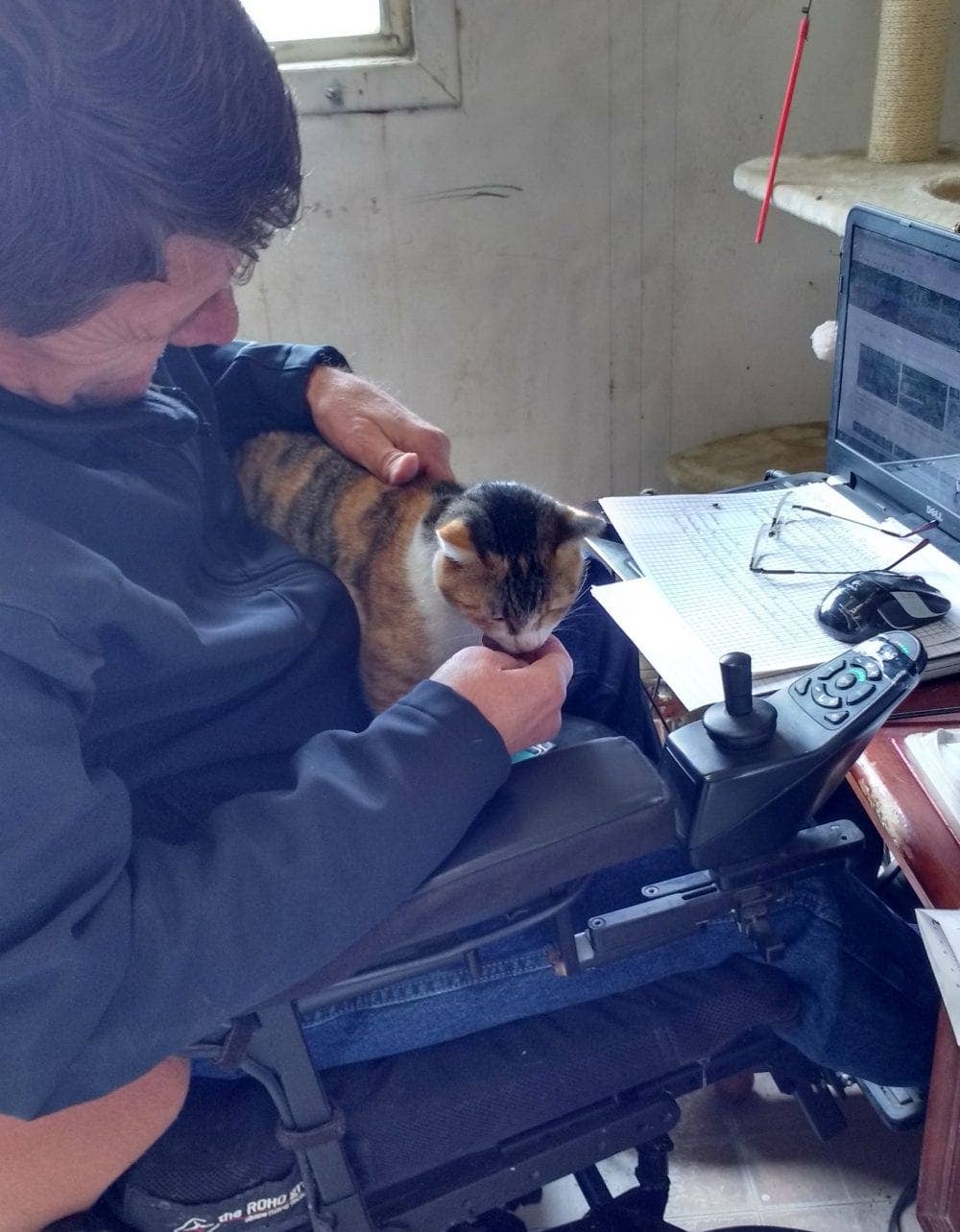Barn Buddies: A Calico Named Duane - Paulick Report | Latest news and ...