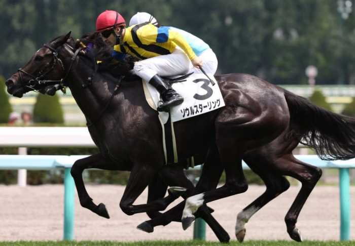 Japan: Frankel Filly Soul Stirring Remains Undefeated, Eyes Spring ...