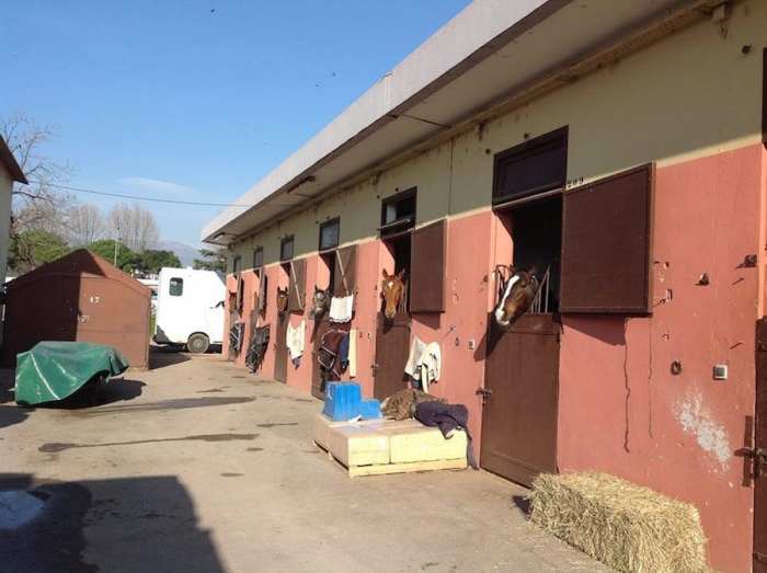 Cagnes-Sur-Mer Diary: The French System - Paulick Report | Latest news ...