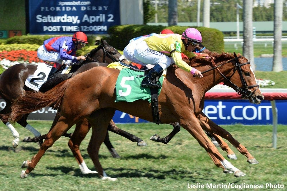 Full Sister To Lady Shipman Successful On Debut At Gulfstream - Paulick ...
