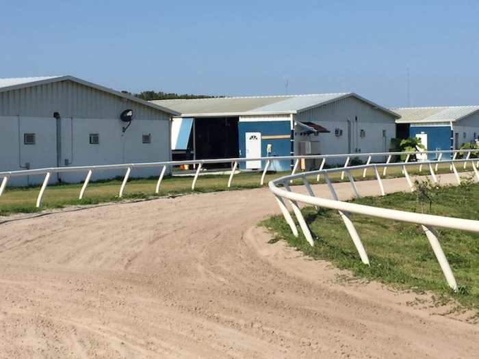 Borell, Drawing Away Stable Part Ways - Paulick Report | Latest news ...