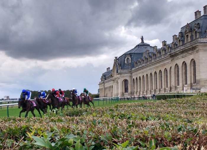 Gezora Lands French Oaks For U.S.-Based Owner Peter Brant - Paulick ...