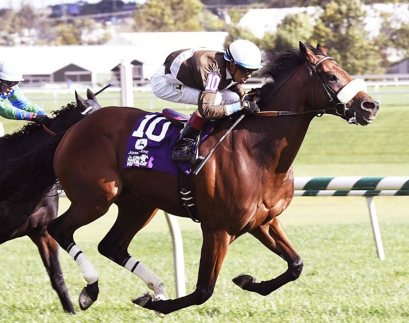 Phlash Phelps Successfully Defends Maryland Million Turf Title ...