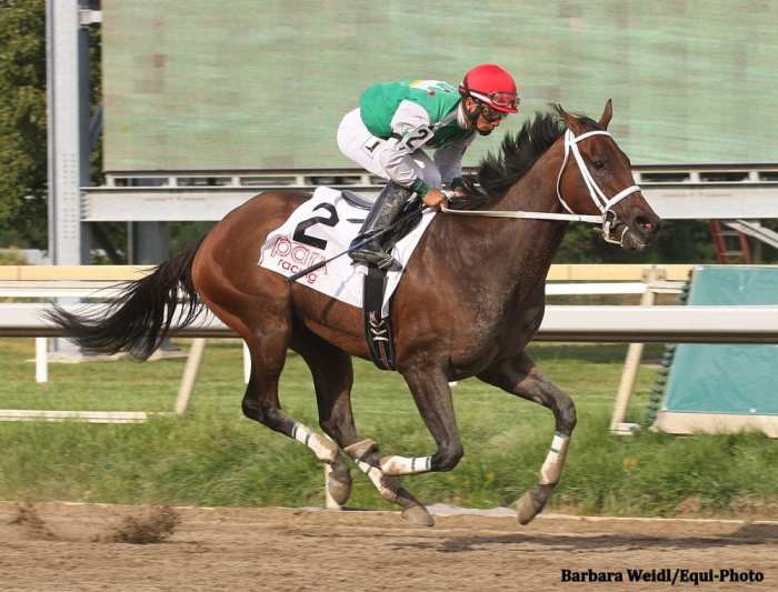 Thoroughbred Racing Dudes: The 'Skinny' On The Big Day At Parx ...