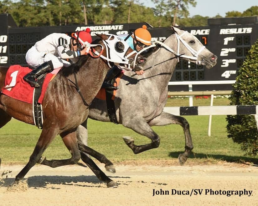 Bennett Sweeps Saturday's Juvenile Stakes At Tampa Bay - Paulick Report ...