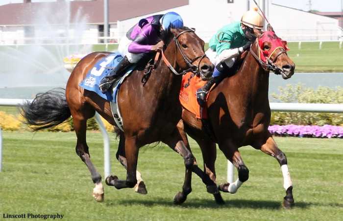 Indiana Grand: Stellar 2016 Meet Reflective Of Strong Partnership ...