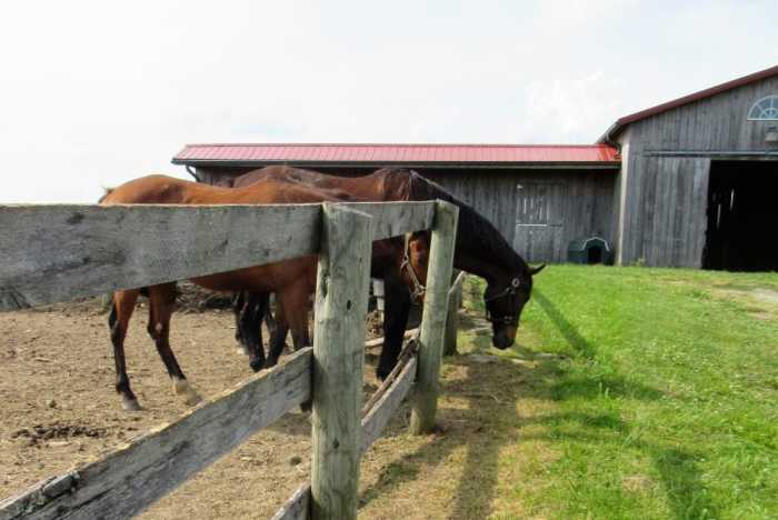 State Officials File Suit To Negate Borells' Ownership Claim On Mercer ...