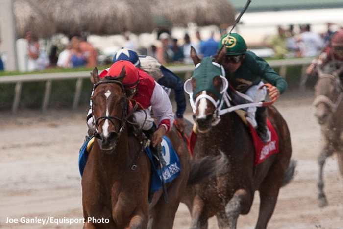 Go Maggie Go Determined In Gulfstream Park Oaks - Paulick Report ...