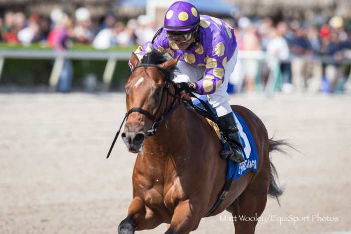 Awesome Banner Remains Undefeated In Swale Stakes - Paulick Report ...