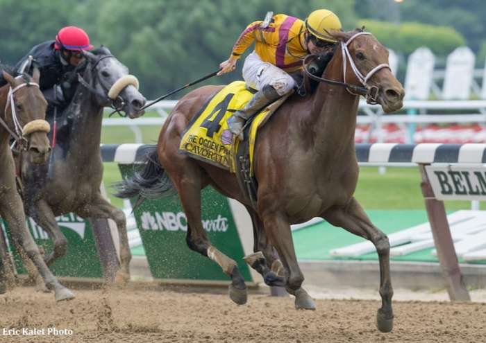 Cavorting, Curalina Clash In G1 Personal Ensign - Paulick Report ...