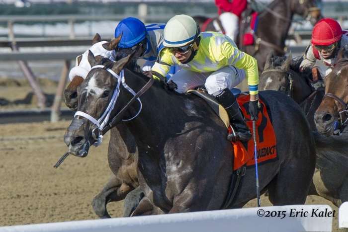 Sunny Ridge Out Of Wood Memorial - Paulick Report | Latest news and ...